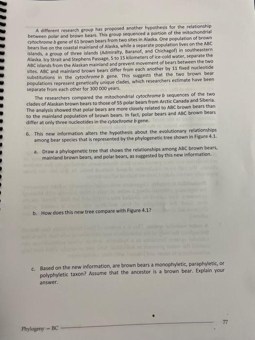 Solved Interpreting a Phylogenetic Tree for Bears The bear | Chegg.com