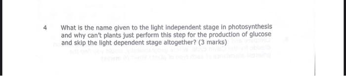 Solved What is the name given to the light independent stage | Chegg.com