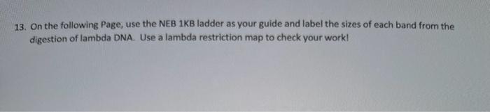Solved 13. On the following Page, use the NEB 1 KB ladder as | Chegg.com