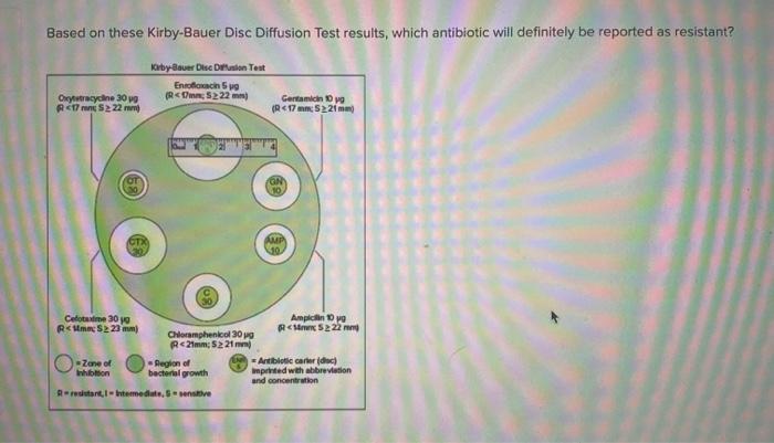 Solved Based on these Kirby-Bauer Disc Diffusion Test | Chegg.com