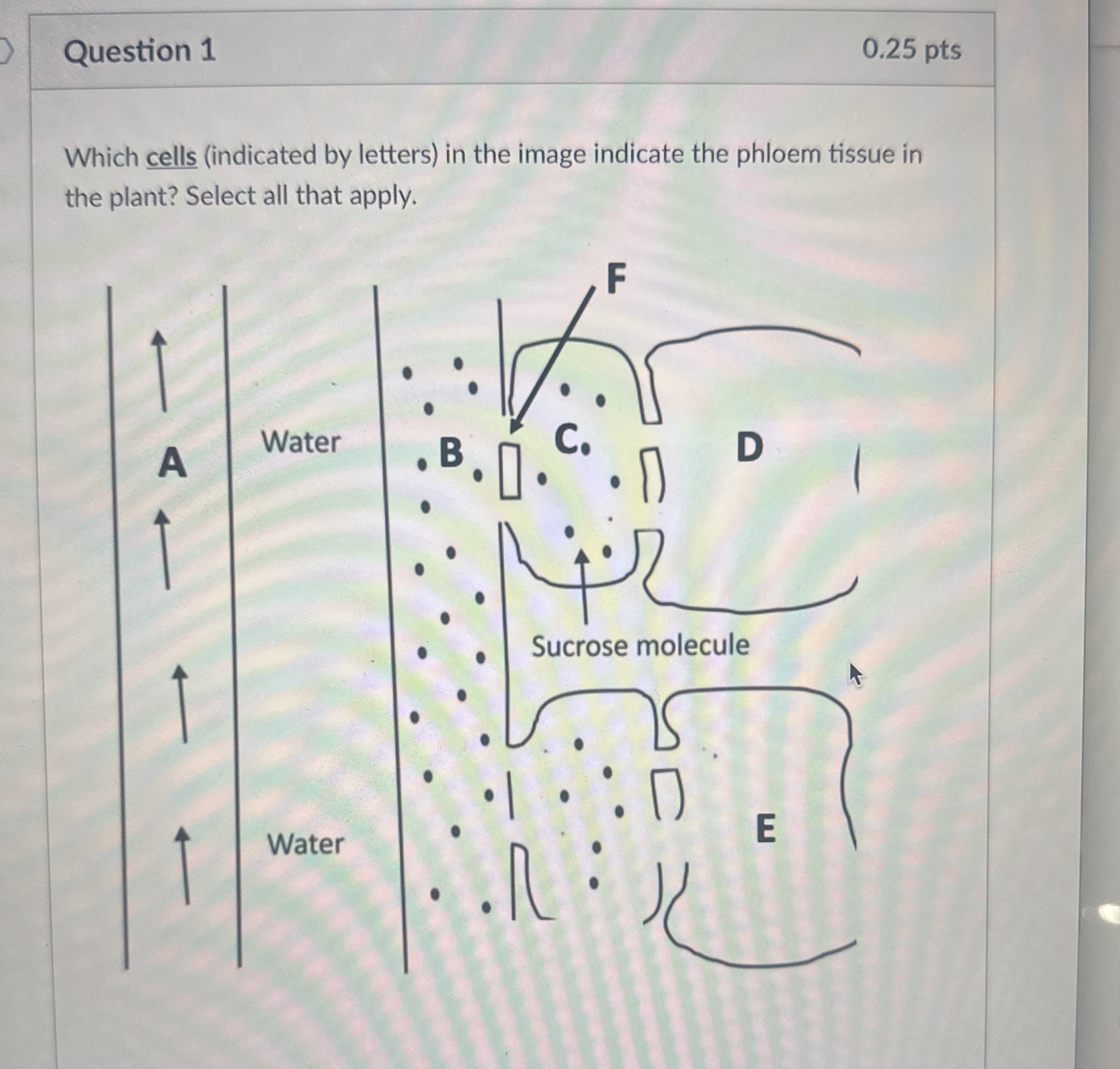 Solved Question 10.25 ﻿ptsWhich cells (indicated by letters) | Chegg.com