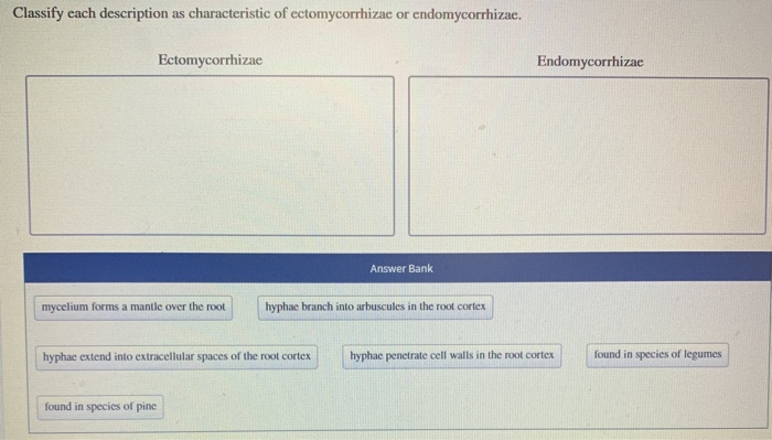 Solved Classify each description as characteristic of | Chegg.com