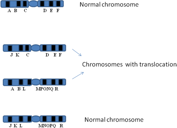 Solved: Chapter 8 Problem 1QSDC Solution | Genetics 5th Edition | Chegg.com Solved: Chapter 8 Problem 1QSDC Solution | Genetics 5th Edition | Chegg.com