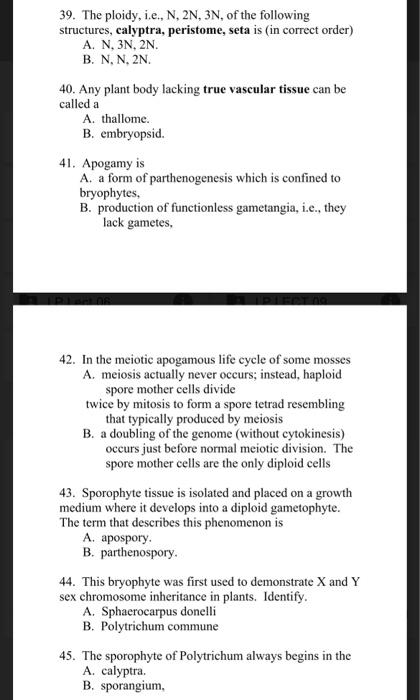 Solved 39. The ploidy, i.e., N,2N,3N, of the following | Chegg.com