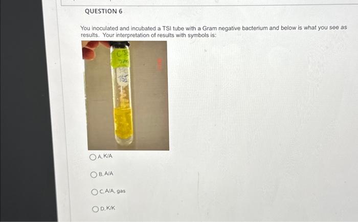 Solved You inoculated and incubated a TSI tube with a Gram | Chegg.com