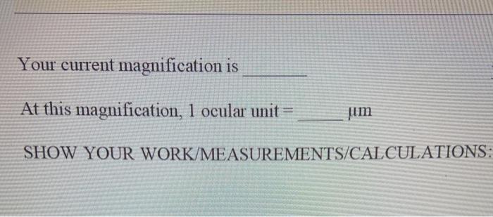 Solved Your current magnification is At this magnification, | Chegg.com