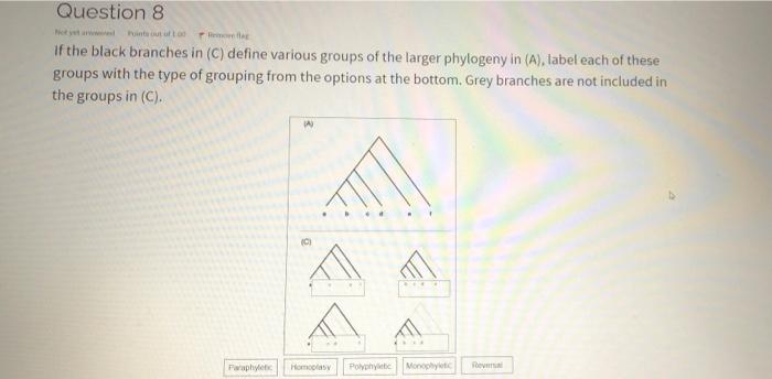 Solved If the black branches in (C) define various groups of | Chegg.com