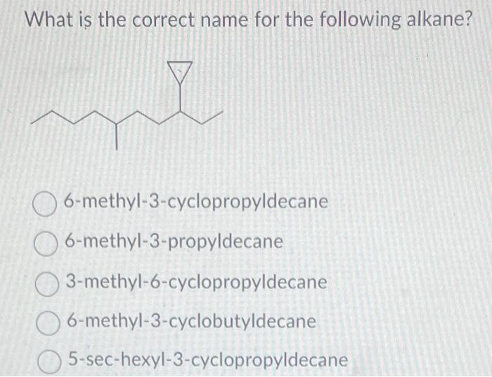 Solved What is the correct name for the following alkane? | Chegg.com