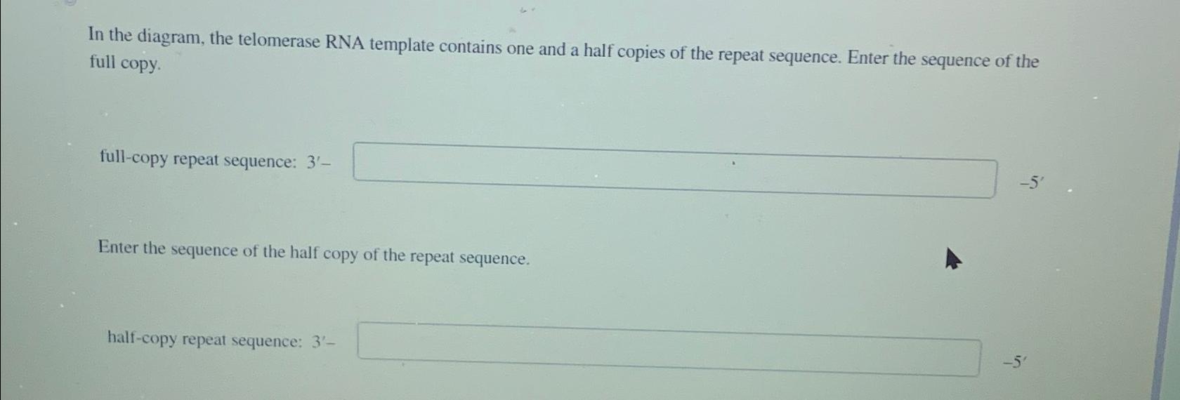 Solved In the diagram, the telomerase RNA template contains | Chegg.com