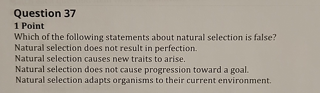 Solved Question 371 ﻿PointWhich of the following statements | Chegg.com