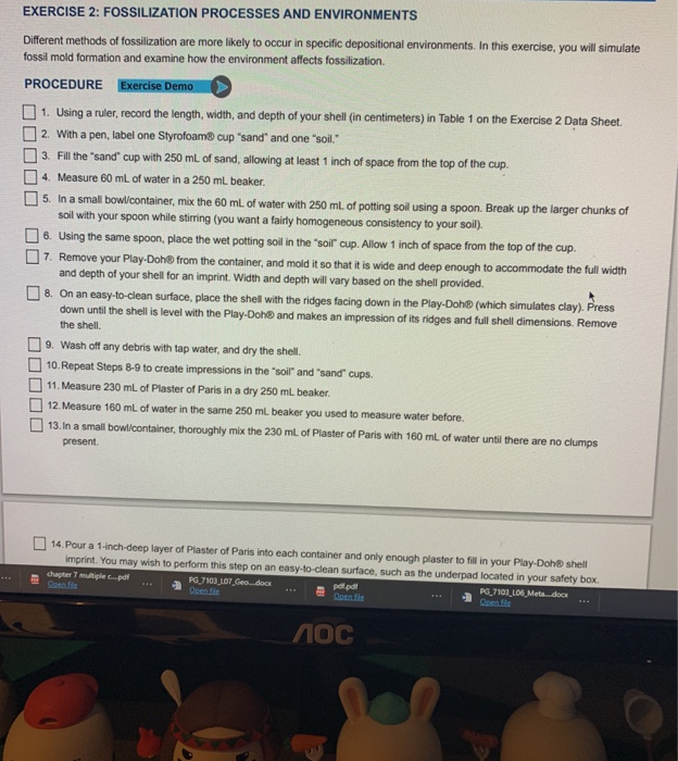 EXERCISE 2: FOSSILIZATION PROCESSES AND ENVIRONMENTS | Chegg.com