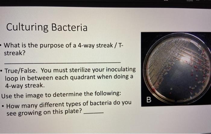 Solved Culturing Bacteria • What is the purpose of a 4-way | Chegg.com