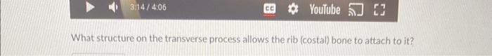 What structure on the transverse process allows the | Chegg.com