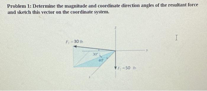 Solved Problem 1: Determine the magnitude and coordinate | Chegg.com