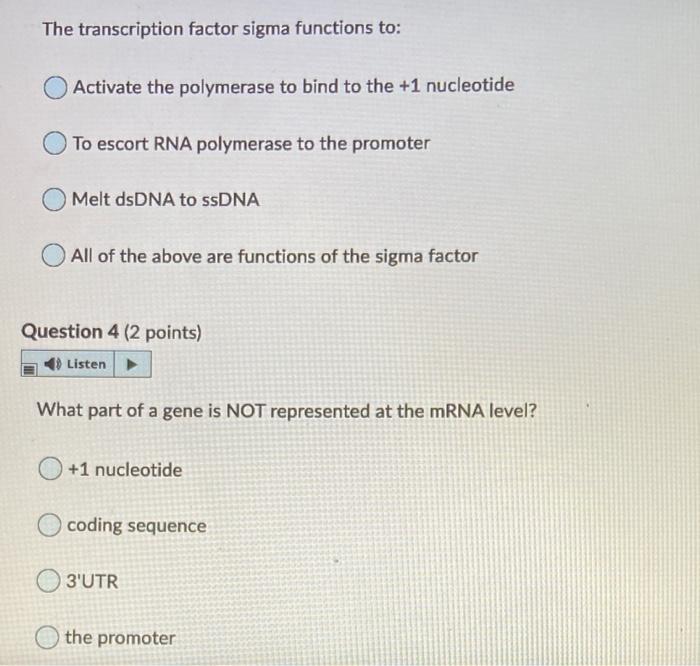 Solved The transcription factor sigma functions to: Activate | Chegg.com