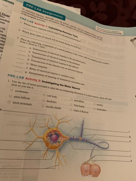 Solved min Thes face sembra PRE-LAB Assignments To maximize | Chegg.com