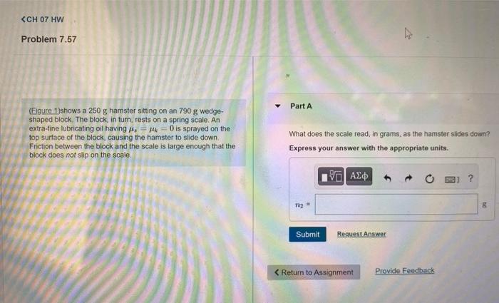 (Figure 1)shows a 250 g hamster sitting on an 790 g | Chegg.com