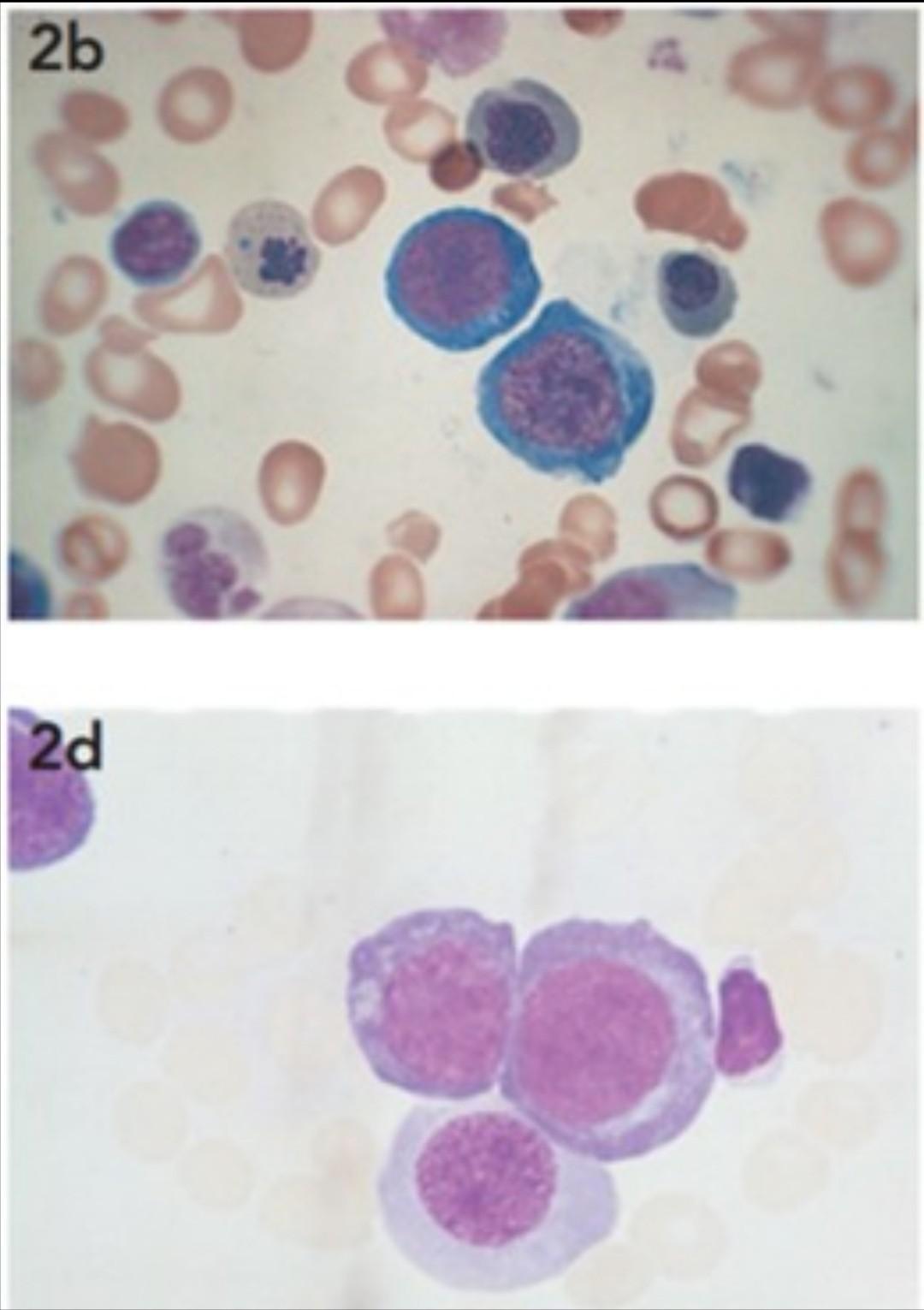 Solved Image 1 Image 2 Assignments or reflective | Chegg.com