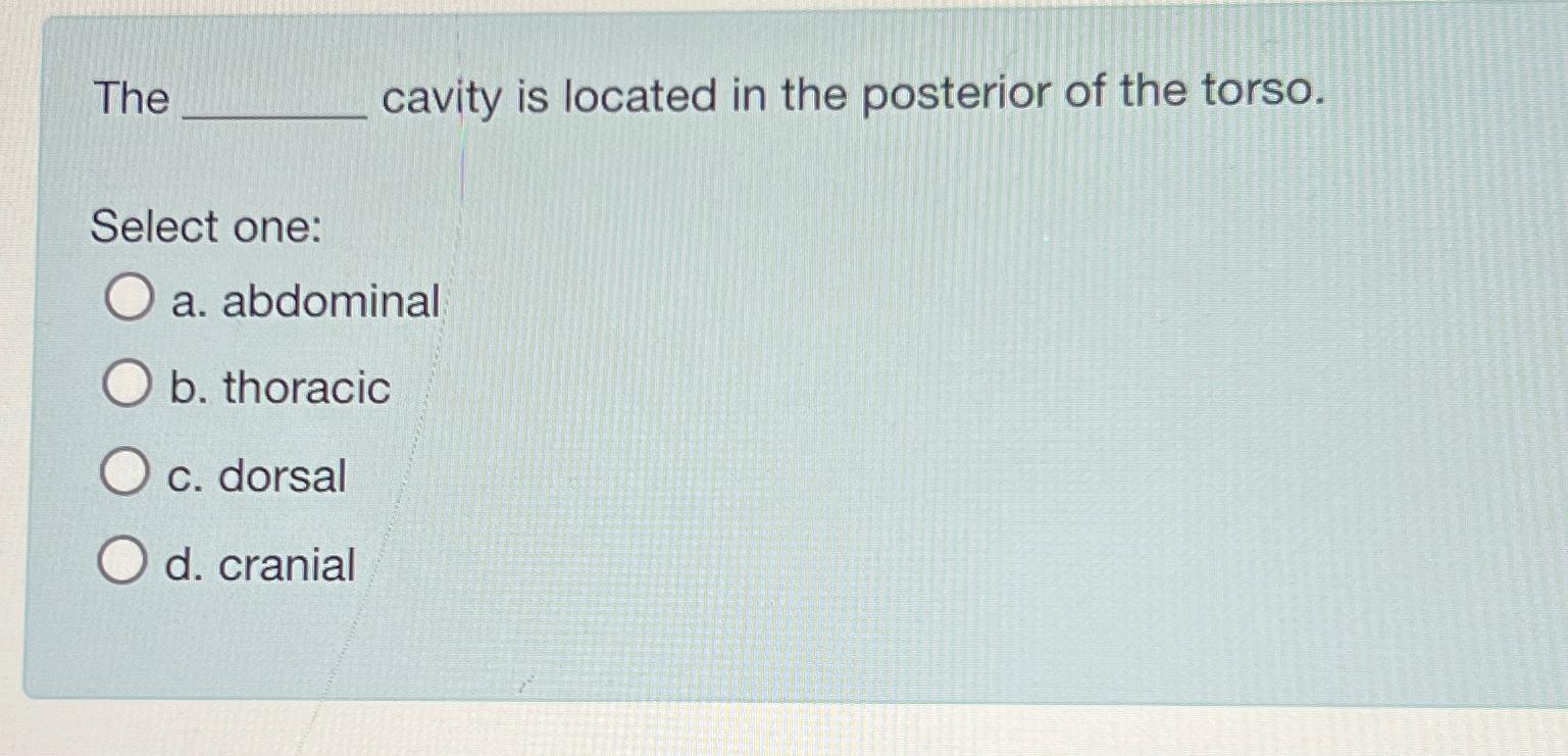Solved The cavity is located in the posterior of the | Chegg.com