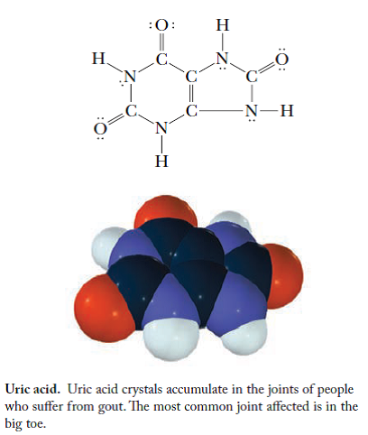 Uric Acid Molecule