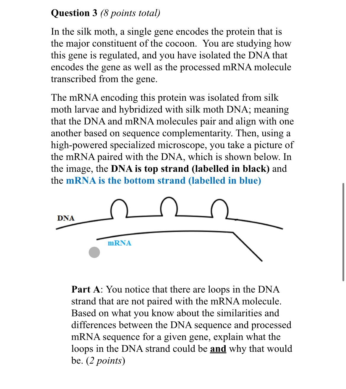 Solved Question 3 (8 ﻿points total)In the silk moth, a | Chegg.com