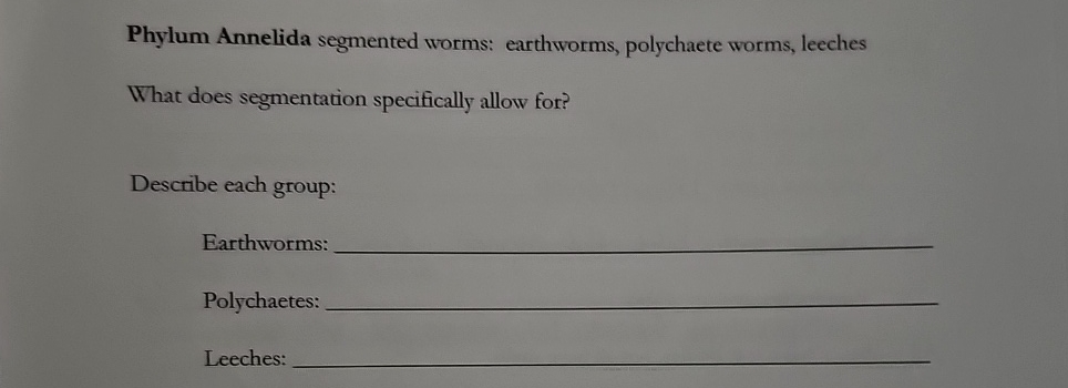 Solved Phylum Annelida segmented worms: earthworms, | Chegg.com Solved Phylum Annelida segmented worms: earthworms, | Chegg.com