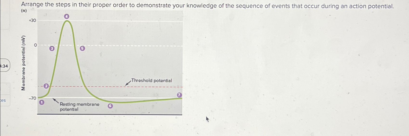 Solved Arrange the steps in their proper order to | Chegg.com