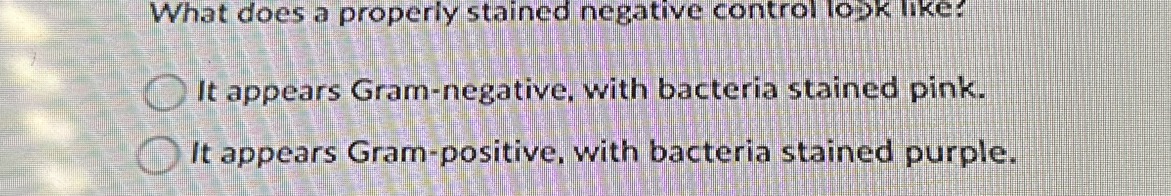 Solved What does a properly stained negative control losk | Chegg.com