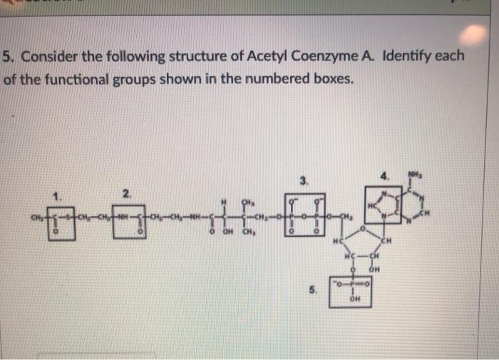 Solved 5. Consider the following structure of Acetyl | Chegg.com