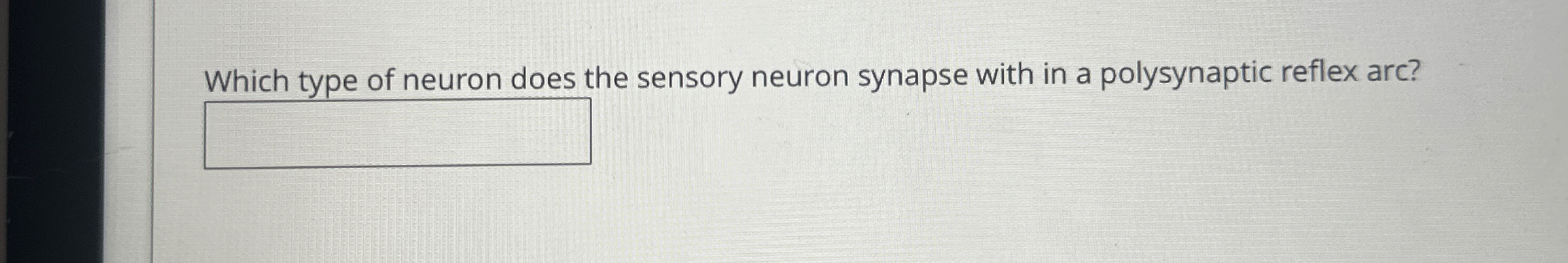 Solved Which type of neuron does the sensory neuron synapse | Chegg.com
