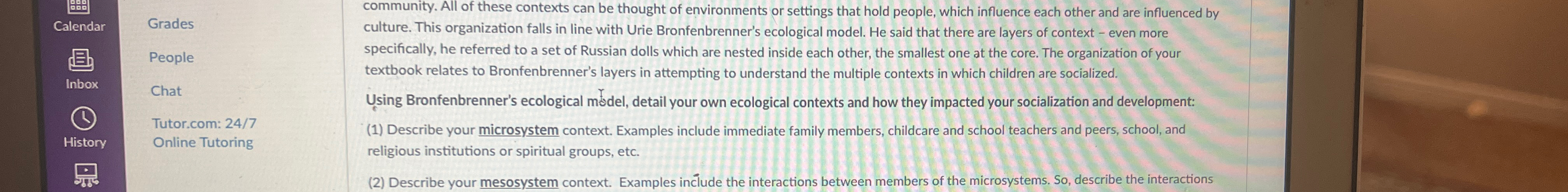 Solved (1) ﻿Describe your microsystem context. Examples | Chegg.com