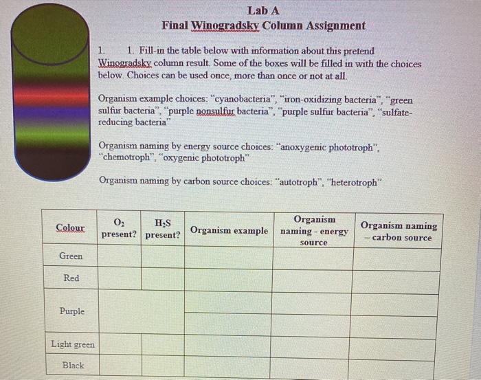 Solved Lab A Final Winogradsky Column Assignment 1. 1. Fill | Chegg.com