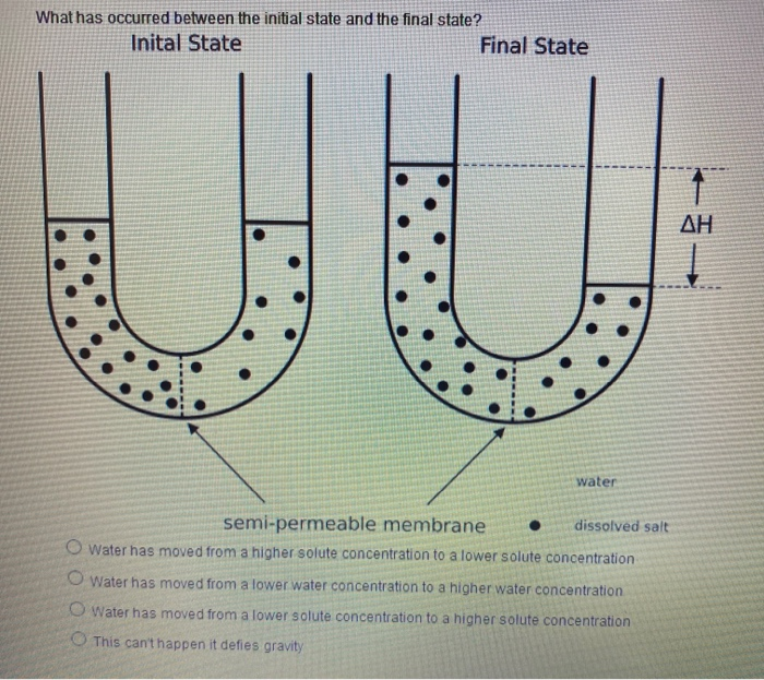 Solved What has occurred between the initial state and the | Chegg.com