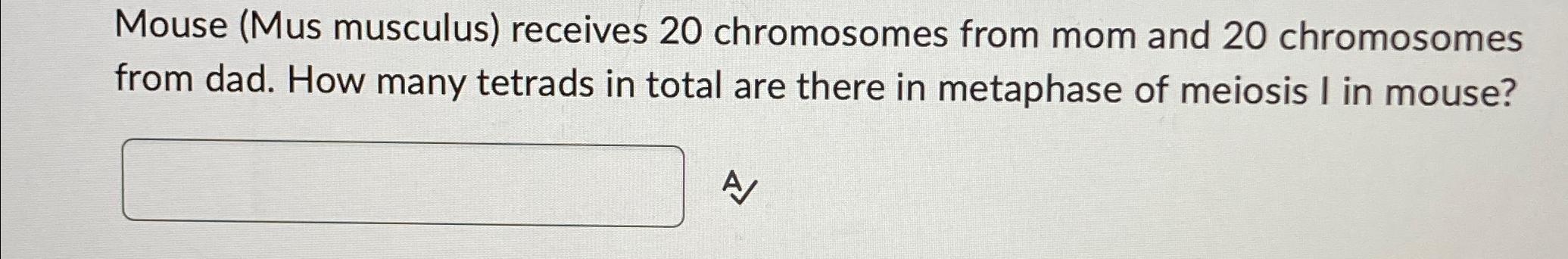 Solved Mouse (Mus musculus) ﻿receives 20 ﻿chromosomes from | Chegg.com