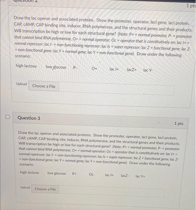 Solved Draw the lac operon and associated proteins. Show the | Chegg.com