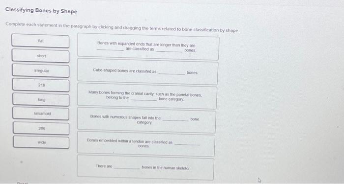 Solved Classifying Bones by Shape Complete each statement in | Chegg.com