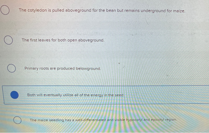 Solved Which of the following is not a correct statement | Chegg.com