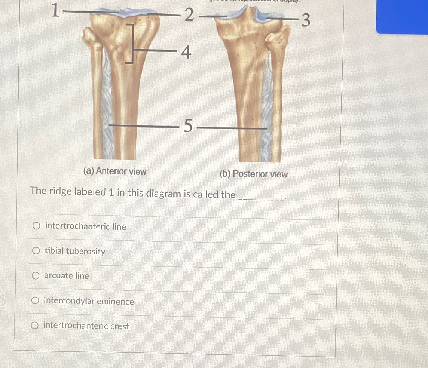 Solved (a) ﻿fuitiui view(b) ﻿Posterior viewThe ridge labeled | Chegg.com
