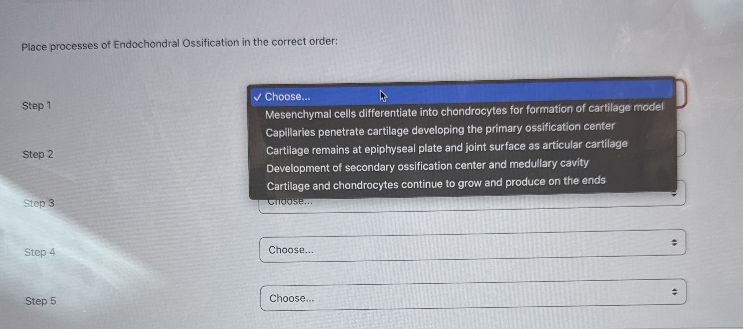 Solved Place processes of Endochondral Ossification in the | Chegg.com