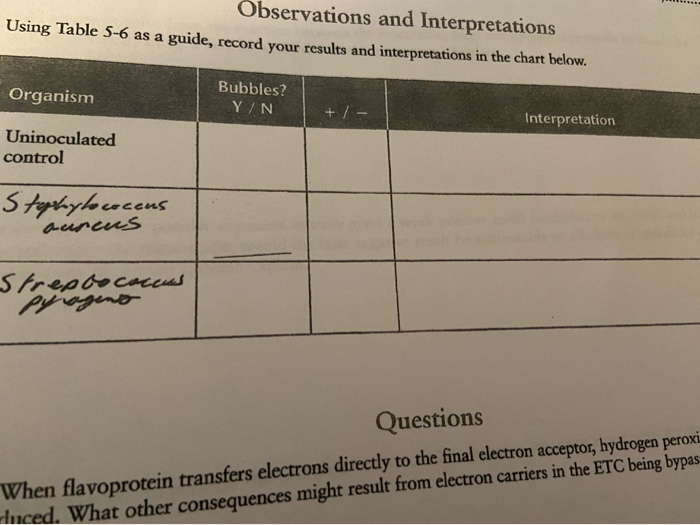 Solved Observations and Interpretations Using Table 5-6 as a | Chegg.com