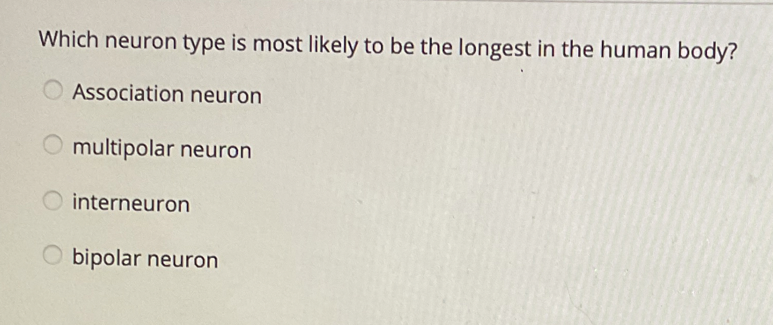 Solved Which neuron type is most likely to be the longest in | Chegg.com