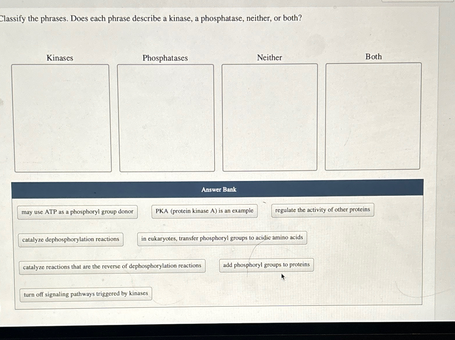 Solved Classify the phrases. Does each phrase describe a | Chegg.com