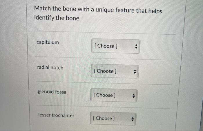 Solved Match the bone with a unique feature that helps | Chegg.com