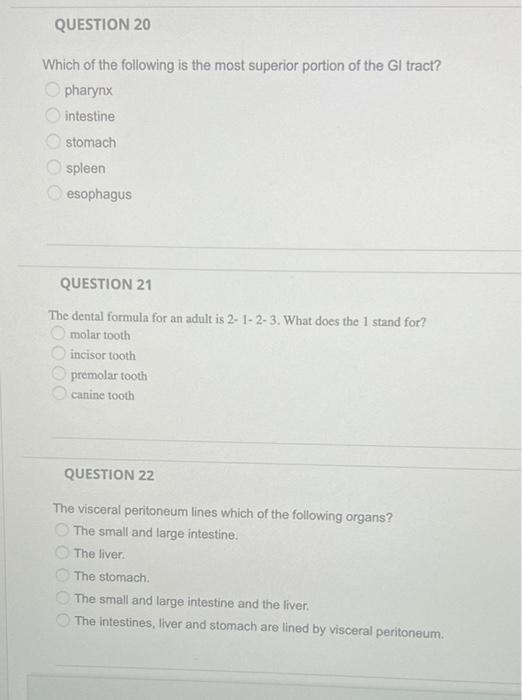 Solved Which of the following is the most superior portion | Chegg.com