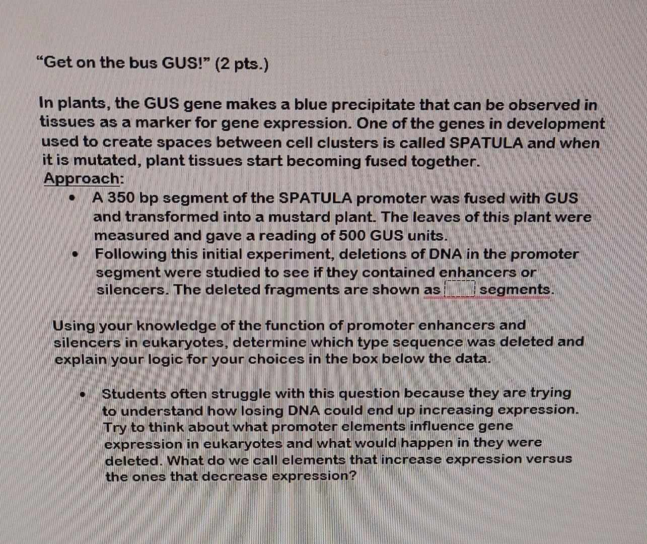 Solved \"Get on the bus GUS!\" ( 2 pts.) In plants, the GUS | Chegg.com