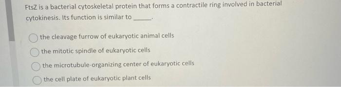 Solved FtsZ is a bacterial cytoskeletal protein that forms a | Chegg.com