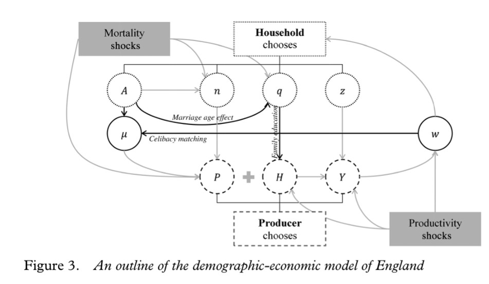 Solved Figure 3. ﻿An outline of the demographic-economic | Chegg.com