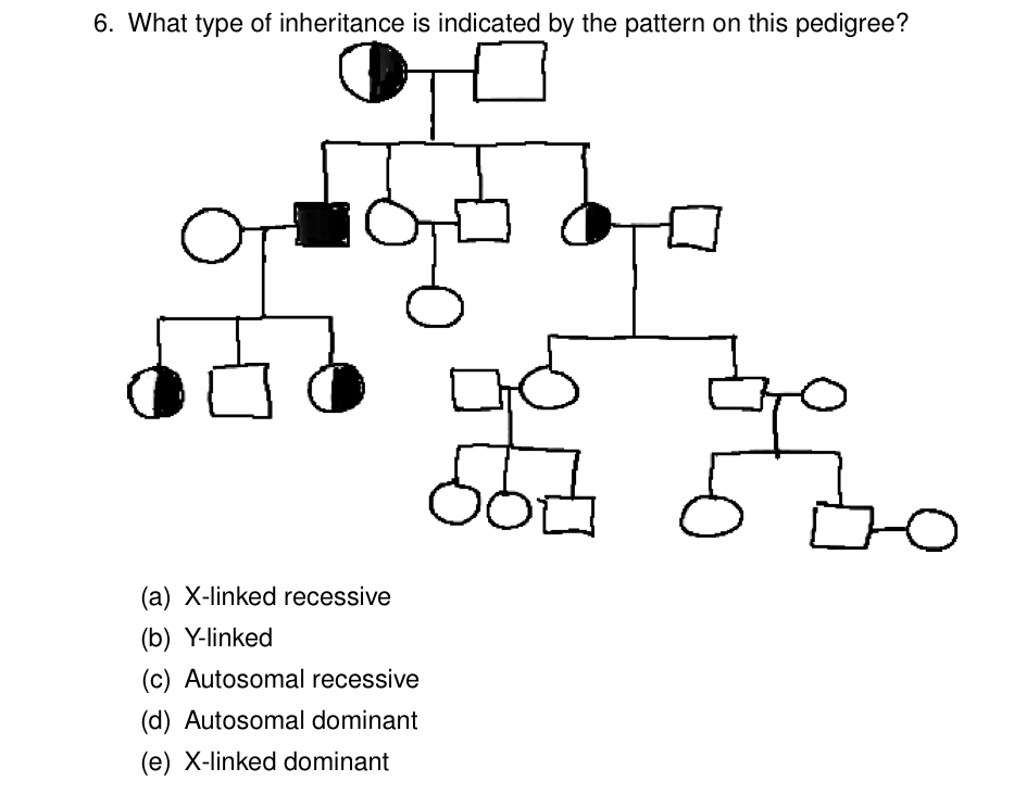 Solved What type of inheritance is indicated by the pattern | Chegg.com