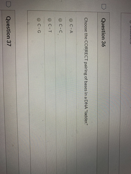 Solved Question 36 Choose the CORRECT pairing of bases in a | Chegg.com