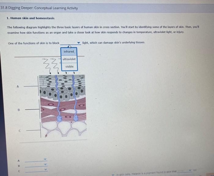 Solved 31.8 Digging Deeper: Conceptual Learning Activity 1. | Chegg.com